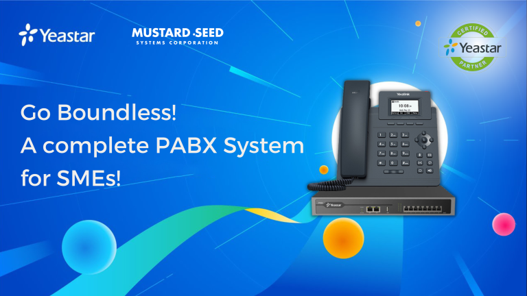 Mustard Seed Systems Corporation